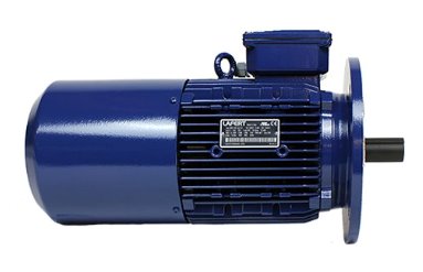 YAW MOTOR 2,5KW 4P BRK LAF60HZ – DEX